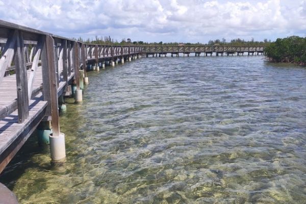 Bonefish Pond National Park Nassau-Crystal clear mangrove park