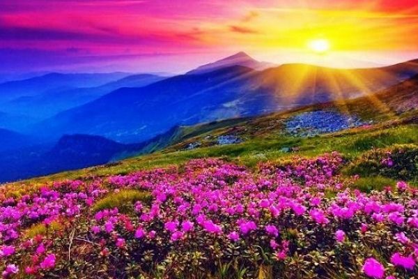 Images of Kimadi, Dehradun